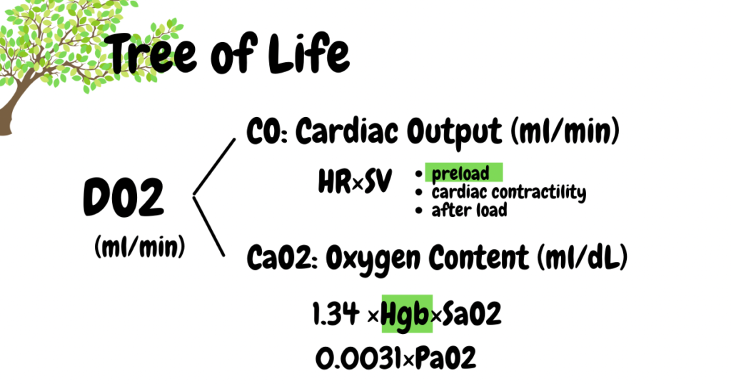 【今更でもいいからとにかく学ぶ】酸素運搬量(DO2)とは？実症例で理解してみよう！ | みけぶろぐ-アメリカで働く、獣医師の小言-