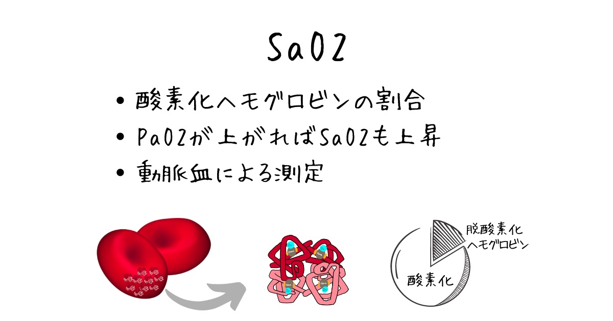 血液に含まれる酸素の量(SaO2, SpO2,PaO2)について考える | みけぶろぐ アメリカで働く、獣医師のつぶやき