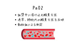 血液に含まれる酸素の量(SaO2, SpO2,PaO2)について考える | みけぶろぐ アメリカで働く、獣医師のつぶやき